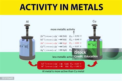 Kimia Pelajaran Subjek Logam Aktivitas Dalam Logam Logam Cu Semua Logam Infografis Logam