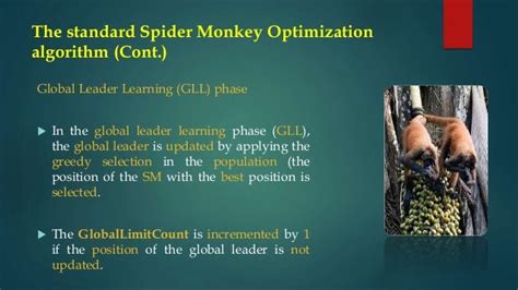 Spider Monkey Optimization Algorithm