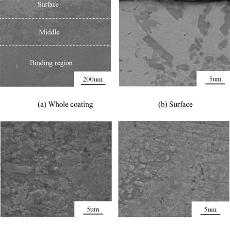 cross section microstructure morphologies of cladding coating