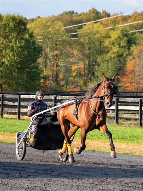The 2023 New Jersey Equine Industry Summit Summit Proceedings By
