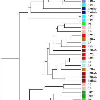 UPGMA Cluster Analysis Based On Pearson Similarity Matrix Of Total Download Scientific Diagram