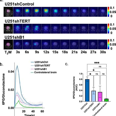 A Dynamic Hyperpolarized ¹³c Echo Planar Spectroscopic Imaging Of Download Scientific Diagram