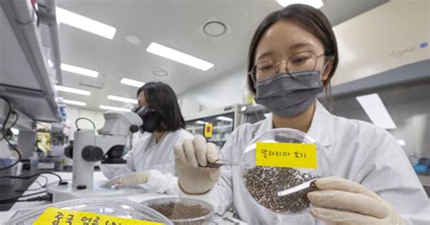 말라리아 매개모기 증가전국에 ‘말라리아 주의보 발령