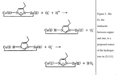 Superoxide Dismutase Structure