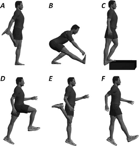 Quadricep Stretches For Runners