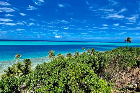 Tahitian Vanilla Visit A Vanilla Farm In Polynesia