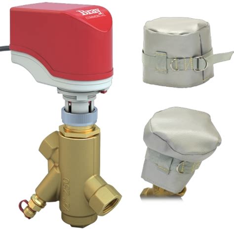 Buy Bray Ss 2 N S 35cpam24 100 Fs 2 Npt 351gpm Control Valve