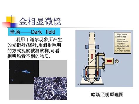 关于金相实验 金相组织 金相样品制备 金相腐蚀剂选择，这篇笔记挺全（持续更新） 知乎