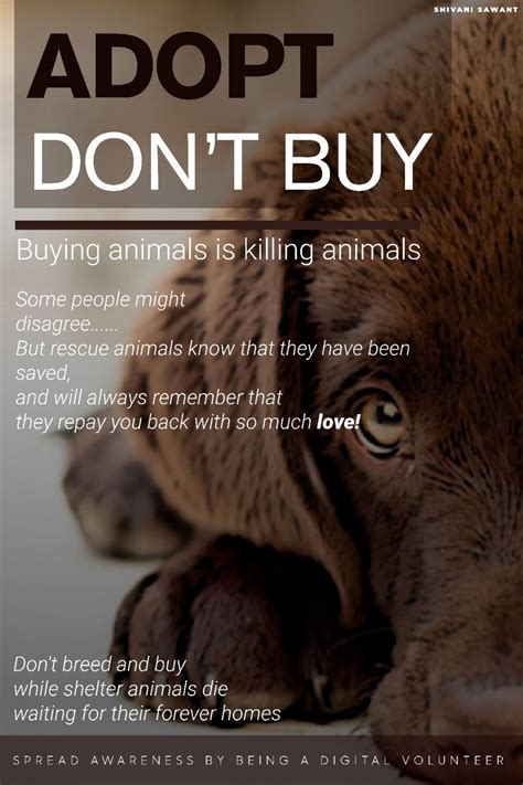 Shivani Sawant On Linkedin Connections Graphicdesign Internship Oasisinfobyte