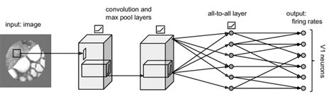 The Optimized Architecture Of The Deep Convolutional Neural Network