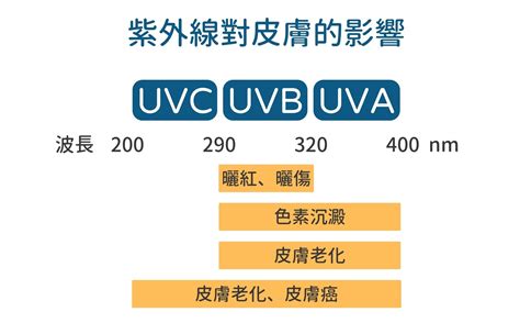 擦了防曬還是曬黑、曬傷防曬乳該怎麼選搞懂spf、uva、pa防曬係數的差異？