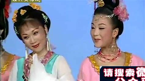 【经典】黄梅戏《天仙配》全剧名家张小萍腾讯视频