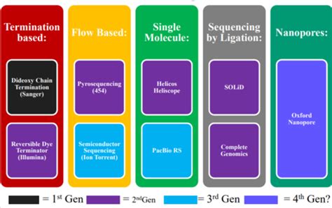 Genetics Dna Sequencing Flashcards Quizlet
