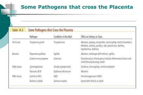 Non Specific Host Defence Immunity Immune System Ppt Download