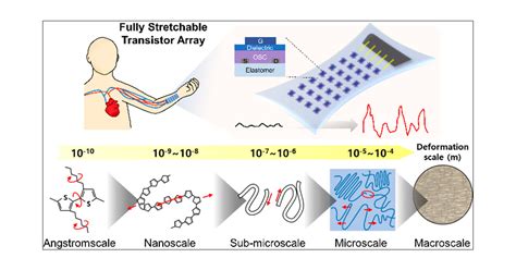 Structural Insights Into Conjugated Polymers For Stretchable Organic Transistors Chemistry Of