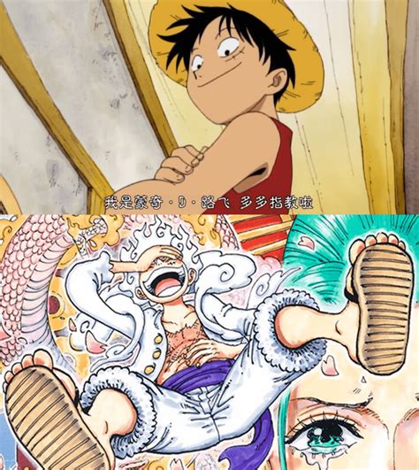 海贼王草帽团前后两年对比变化