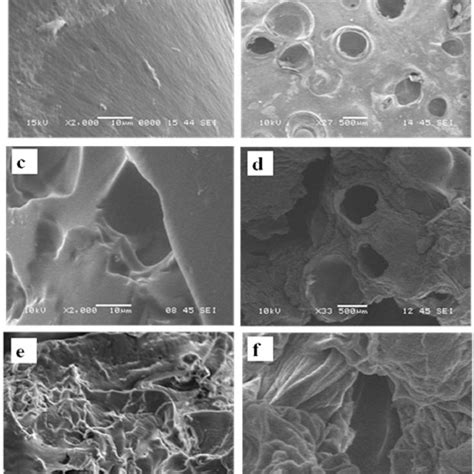 Ir Spectrum Of Pure Drug Pregabalin Download Scientific Diagram