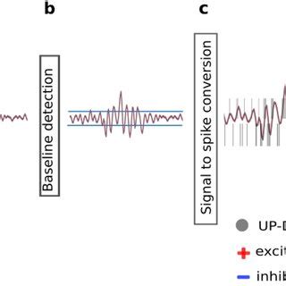 HFO Detection Scheme A The Wideband ECoG Is Filtered In The HFO Download Scientific Diagram