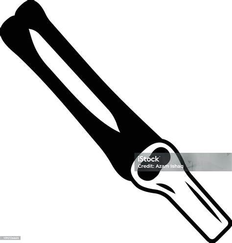 팔꿈치 뼈 골격 벡터 라인 아이콘 디자인 장기 시스템 기호 인체 해부학 기호 인체 부품 스톡 일러스트레이션 손목 관절 개념 종아리뼈에 대한 스톡 벡터 아트 및 기타 이미지