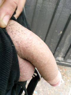 Inch Cock Pics