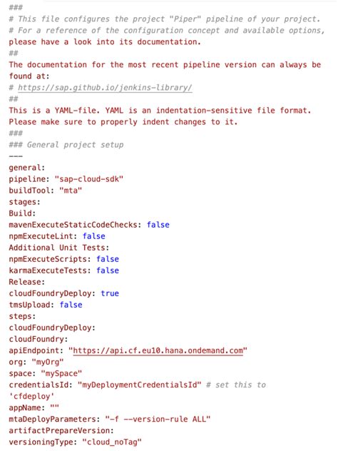 CI CD In SAP BTP NTD Italia