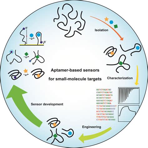 Advances And Challenges In Small Molecule Dna Aptamer Isolation Characterization And Sensor