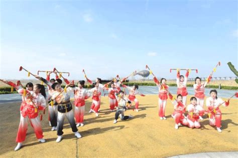 河豚网 扬中市河豚协会