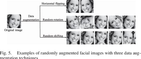Figure 5 From Combining Deep Convolutional Neural Networks With Stochastic Ensemble Weight