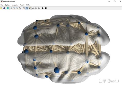 brainnet viewer 脑连接组可视化工具 知乎