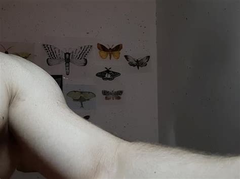 Feel Sniff Or Lick Tumbex