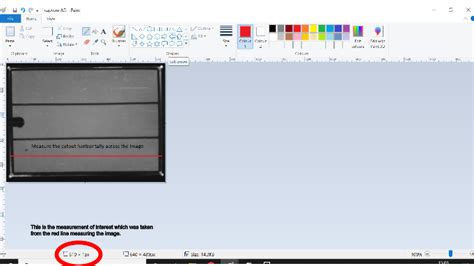 Pixel To Millimetre Conversion Ratio Pages Zantiks
