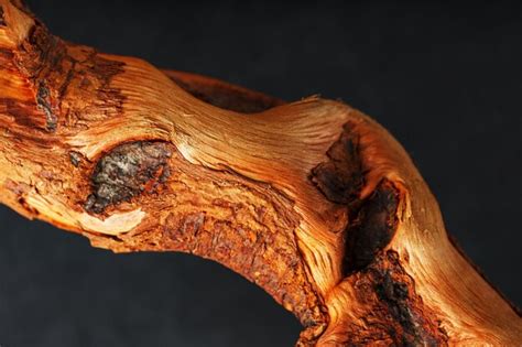 Premium Photo Textured Curved Wooden Snag Of Brown Color With