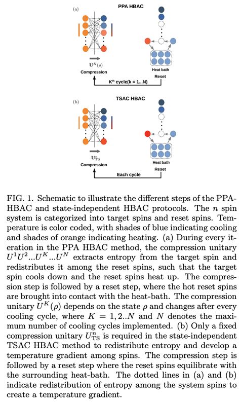 State Independent Robust Heat Bath Algorithmic Cooling Of Nuclear Spins