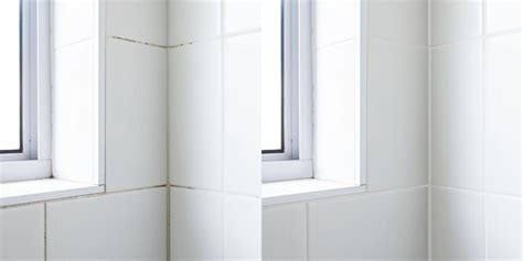 Mould Remover Grout Seal