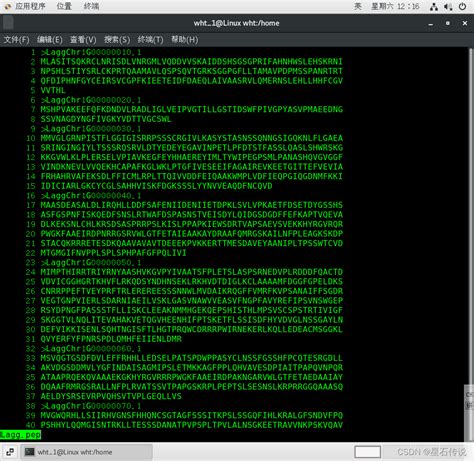 实验篇——kaks分析kaks分析 Csdn博客