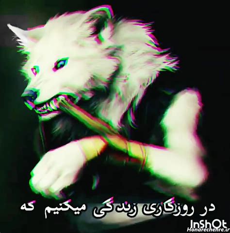 28 عکس از گرگ لاتی با نوشته هایی که شما را جذب میکند