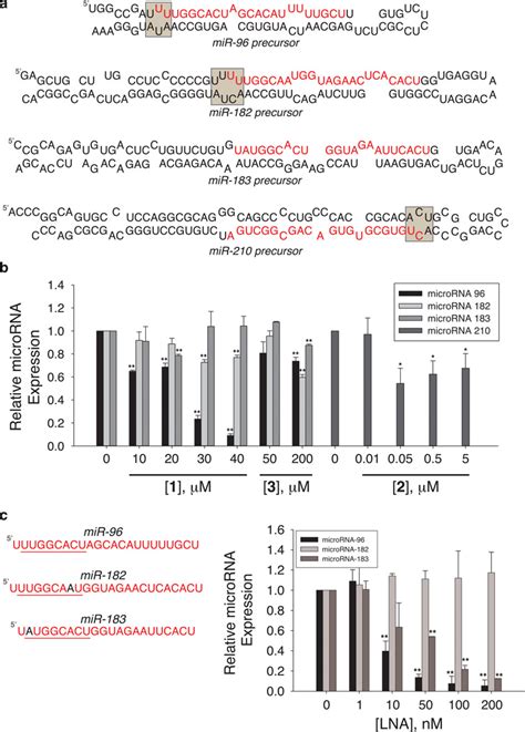 Sequence Based Design Of Bioactive Small Molecules That Target Precursor Micrornas Abstract