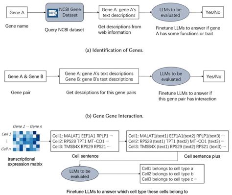 Ayesha Fatima Posted On Linkedin