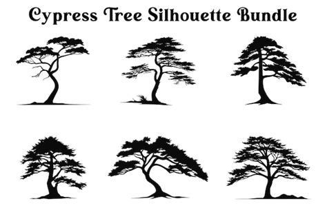 Ciprés Siluetas Paquete Conjunto De árboles árboles Vector Silueta Clipart Vector Premium