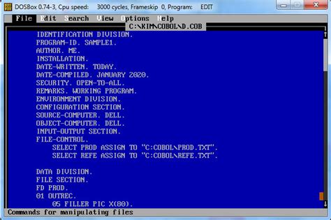 Create Your Cobol Program By Kimmyness Fiverr