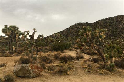 The Largest All Female Motorcycle Ride Goes West Fathom