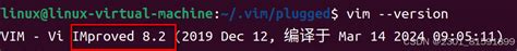 Ubuntu2204安装vimplus插件ubuntu安装vimplus Csdn博客