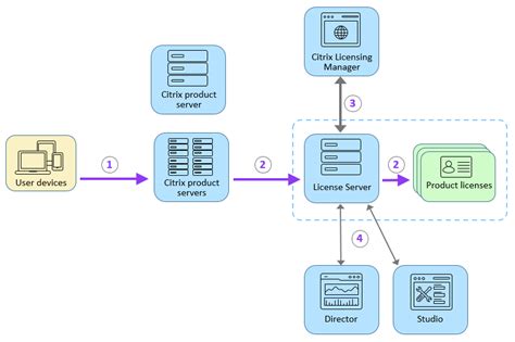 License Server Licensing 11172 Build 53100