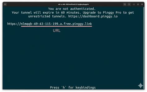 Localtunnel Easiest Way To Create A Local Tunnel