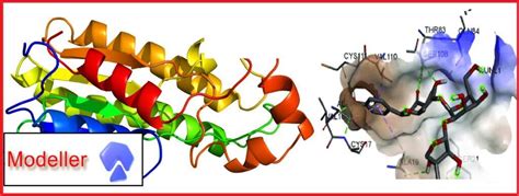 Noble Bioinformatics On Linkedin Three Day International Virtual Workshop On “comparative Protein…