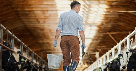 햇볕이 잘 드는 소 헛간 복사 공간을 건너는 양동이를 들고 있는 현대 농장 노동자의 뒷모습 초상화 사진 Unsplash의 유기농 이미지