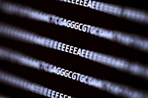Malicious Code Written Into Dna Infects The Computer That Reads It Techcrunch