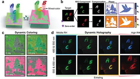Dynamic Color‐mixed Holography A Schematic Diagram For The Dynamic Download Scientific