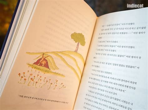 알라딘서재 어린왕자 생텍쥐페리 스케치가 수록된 영화 어린왕자 공식도서