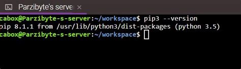 Instalar Pip 3 Gestor De Paquetes De Python En Linux Ubuntu Parzibyte
